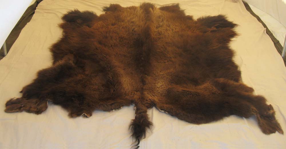 01-bison-hide – David Weston Marshall